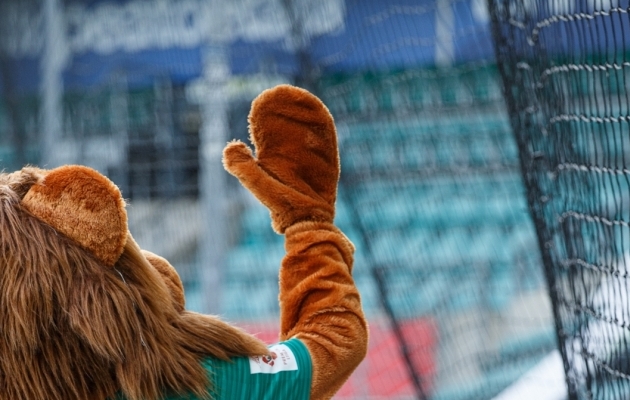 Südantlõhestav! Malaga maskott põhjustas väikesele tüdrukule trauma ...